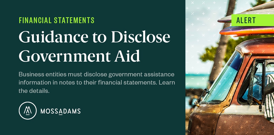 New Government Assistance Disclosure Requirements - Material Accounting
